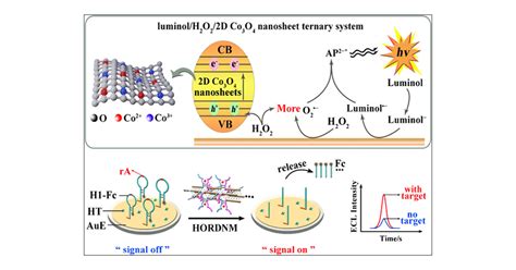 Ultrasensitive Electrochemiluminescence Biosensor Based On 2d Co3o4 Nanosheets As A Coreaction