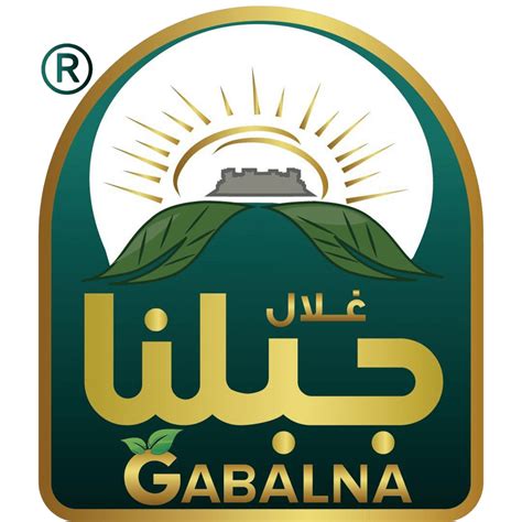 Integration Transparency Service Excellence Social Responsibility