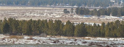 Дархан цаазат газар Жуулчны мэдээллийн төв Touristinfocenter Mn