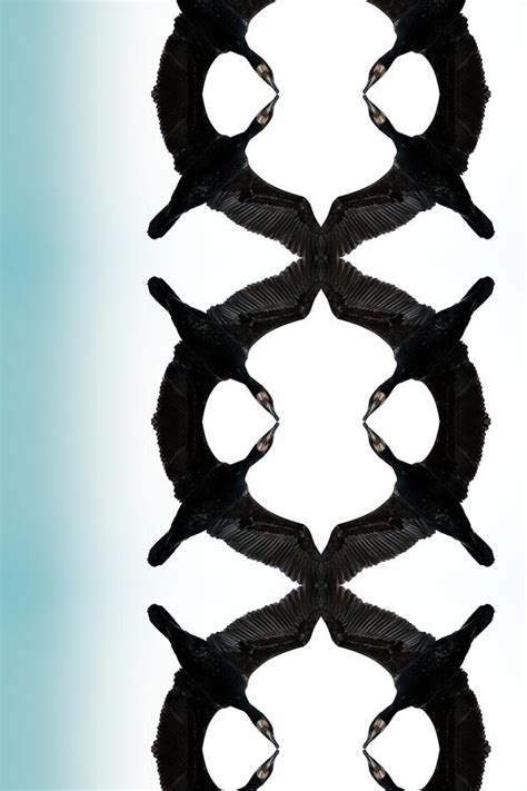 Digital Art A Flying Cormorant Is Made Into A Pattern Remindin