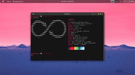 GitHub Tahadostifam Skull Zsh Zsh Theme