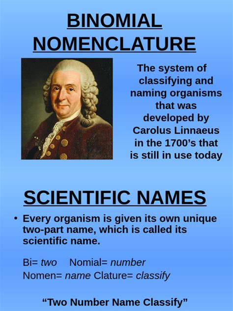 Understanding Binomial Nomenclature Pdf Organisms Biology