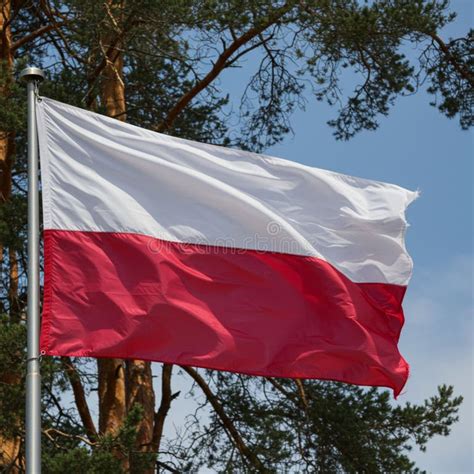 Polish Flag With Horizontal White And Red Bands Waving On A Flagpole