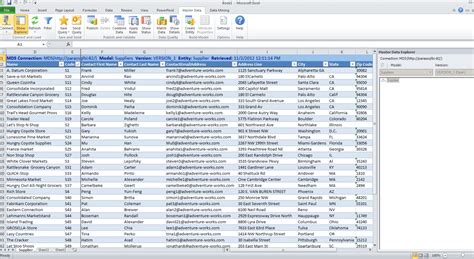 Master Data Services Add In For Excel Insight Extractor Blog