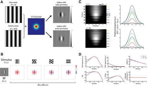 Orientation Tuning Depends On Spatial Frequency In Mouse Visual Cortex