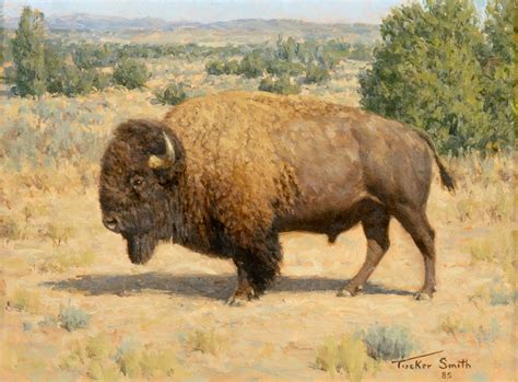 Tucker Smith 1940 Plains Bison 1985 Jackson Hole Art Auction Llc