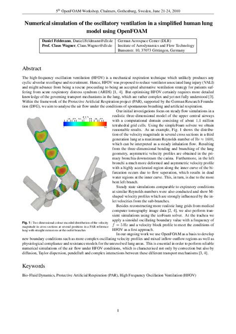 Pdf Numerical Simulation Of The Oscillatory Ventilation In Simplified