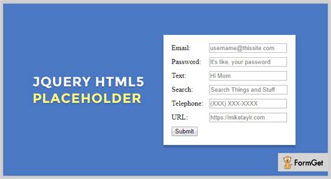 5 jquery placeholder plugins 2022 freemium formget