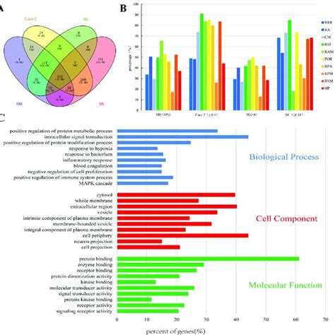 Candidate Target Identification And Cluego Pathway Analysis A Core