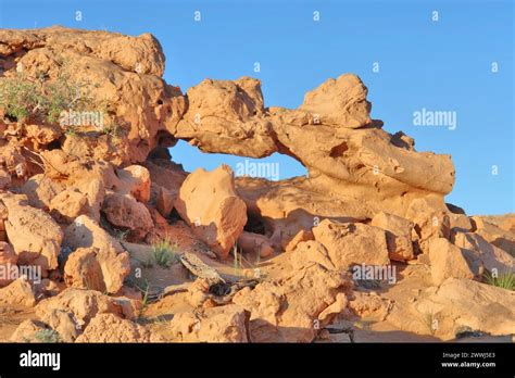 View On Bayanzag Flaming Cliffs On The Mongolian Gobi Desert Containing Fossils Of Jurassic