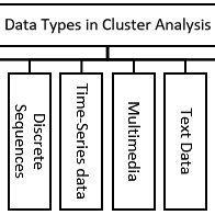 Different Data Types In Cluster Analysis Download Scientific Diagram