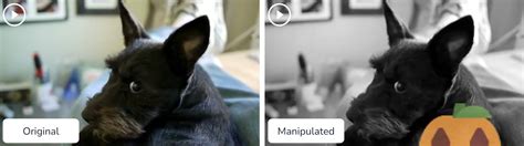 github drivendataorg video similarity challenge links to winning
