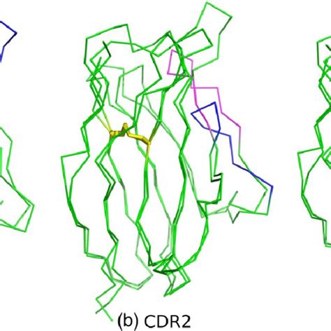 Pdf A New Clustering Of Antibody Cdr Loop Conformations