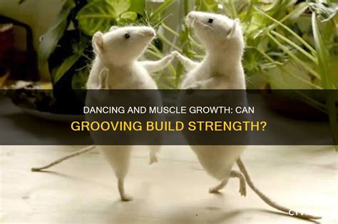 Dancing And Muscle Growth Can Grooving Build Strength Cyvigor