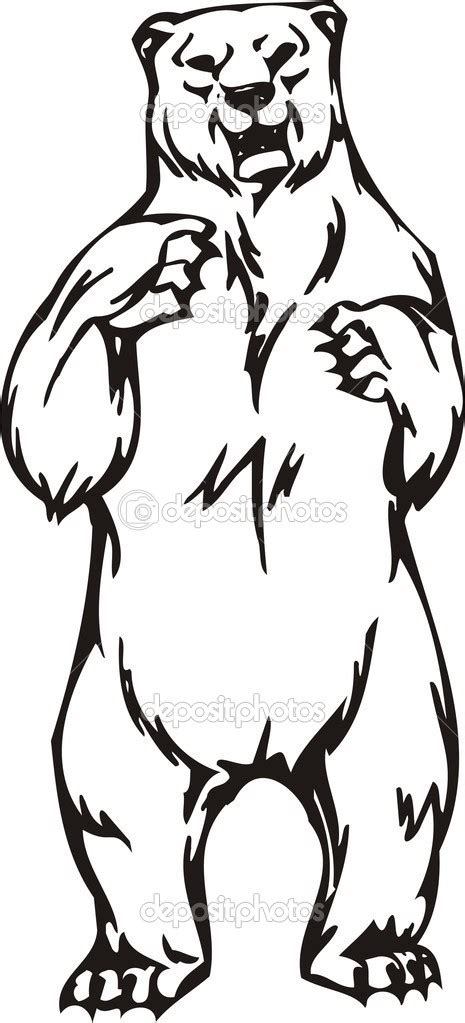 Bear Standing Up Drawing At Explore Collection Of