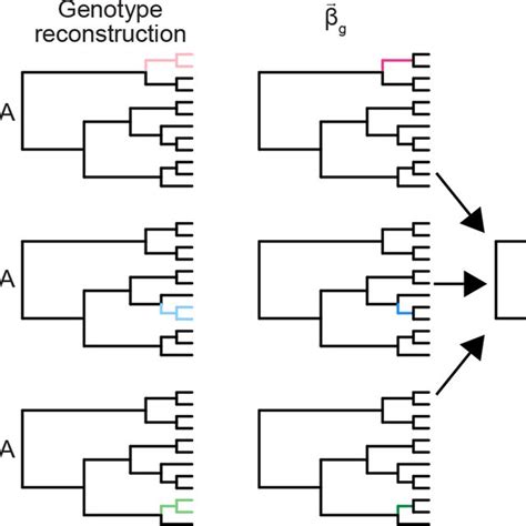 example of hogwash grouping feature on simulated data in this case
