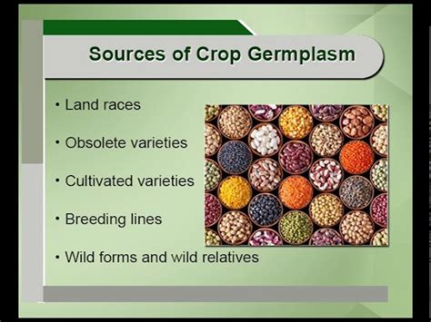 Plant Germplasm