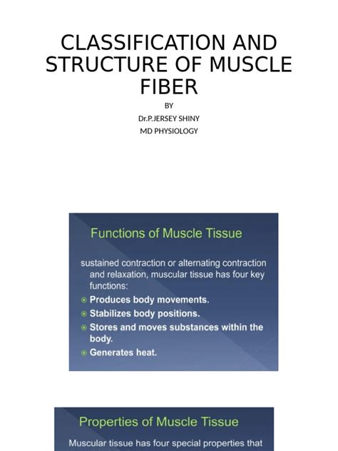 Classification And Structure Of Muscle Fiber Pdf