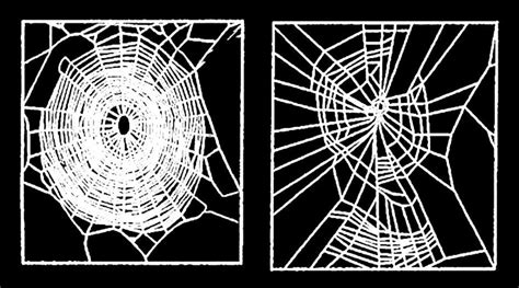Effects Of Psychoactive Drugs On Spiders Attention Deficit Disorder Prosthetic Memory Program