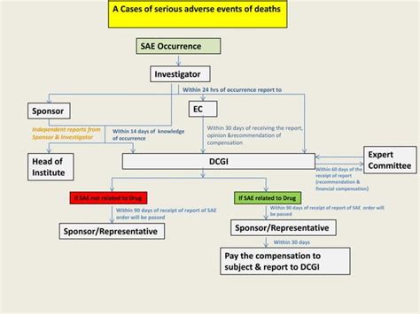 Sae Reporting Timeline And Compensation 2019