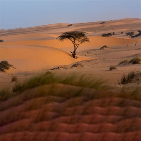 Sahel Africas Semi Arid Lifeline Faces Growing Challenges Radar Africa
