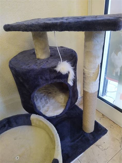 Катерушка Драскало Къща за котки НОВА Аксесоари Бургас Нова катерушка с драскало и къ