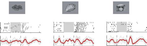 Example Of Selective Responses Download Scientific Diagram