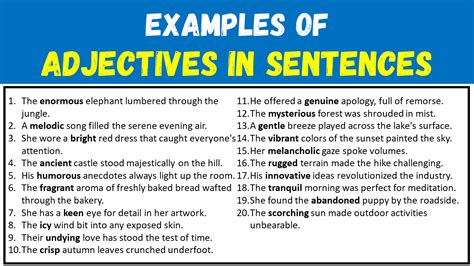 Adjectives In Sentences