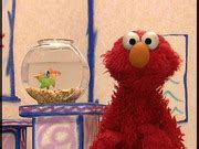 Elmos World Springtime Fun 2008 Dvd Iso Genius Entertainment