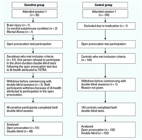 Flow Of Participants Through Each Stage Of Testing Five Data Sets From Download Scientific