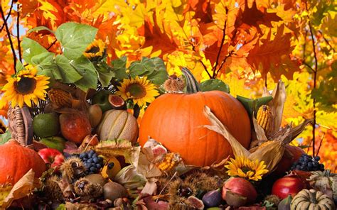 Paling Bagus 26 Wallpaper Desktop Thanksgiving