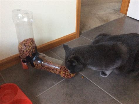 Diy Automatic Cat Feeder 7 Steps With Pictures Instructables