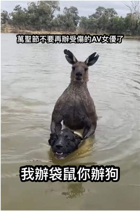 色色