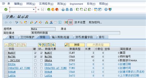 Sap Abap Se11 Se16n 修改标准表慎用sap Se11 Csdn博客 Sap Abap Se11 Se16n 修改标准表慎用sap Se11 Csdn博客