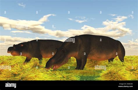 Moeritherium Is An Extinct Mammal Related To The Elephant And The Sea