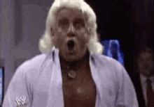 Ric Flair Woo S