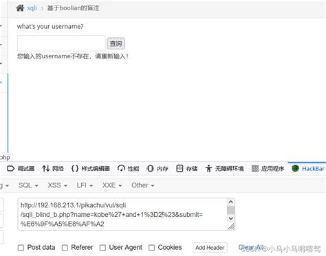 pikachu sql 注入（盲注） pikachu盲注 csdn博客