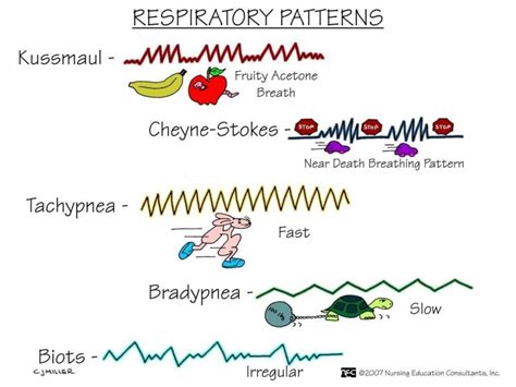 Lets Know About Abnormal Breathing Pattern Platform Cme