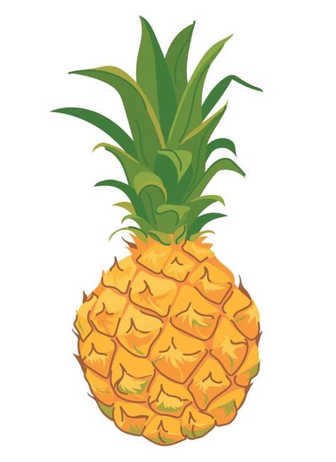 Small Pineapple Common In Mauritius Mini Fruit In Flat Style Ripe Juicy Pineapple On White