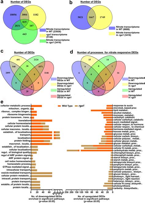 N Responsive Genes And Their Functional Annotation A Venn Diagram