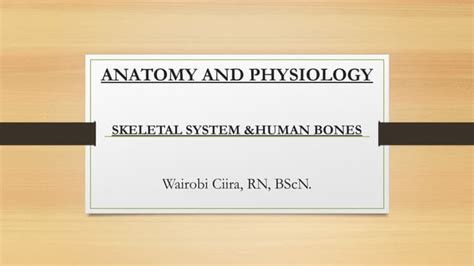 Skeletal System Powerpoint Ppt