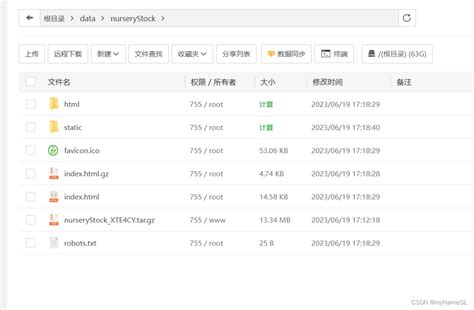 ruoyi项目服务器重启后台报：欢迎使用ruoyi后台管理框架，当前版本：v3 8 1，请通过前端地址访问。 欢迎使用ruoyi后台管理框架