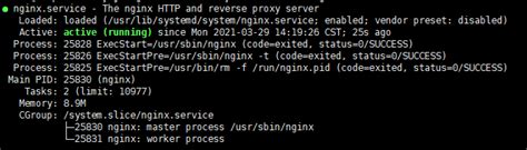 Linux（centos 8）上部署aspnet Core应用程序全流程 P哼哼哈兮q 博客园