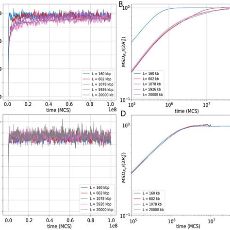 Different Models Of Polymer Entanglement A Conceptualization Of Download Scientific Diagram