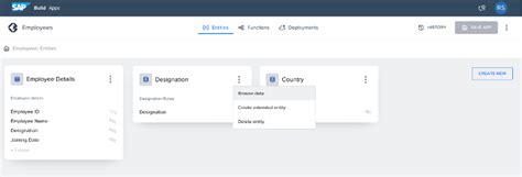 Sap Build Backend Entity And Function Creation Sap Community