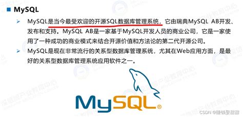 网络安全——数据库基础知识 数据库安全基础 csdn博客