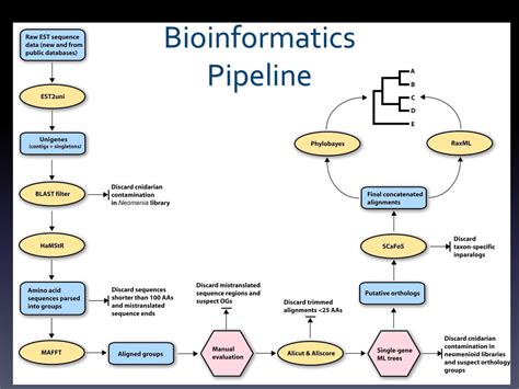 Bioinformatic and Computational research in Biological Sciences - ppt download