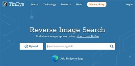 8 Best AI Reverse Image Search