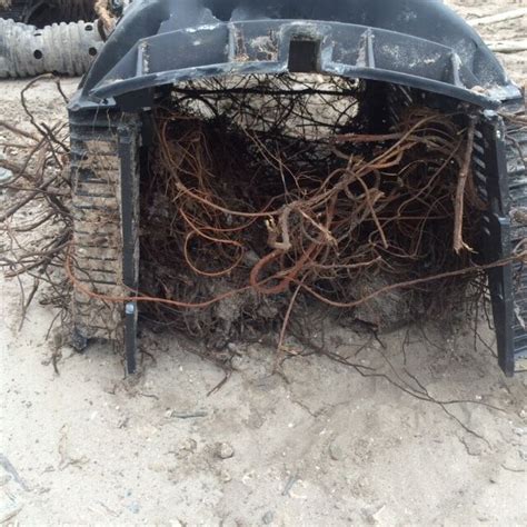 2 Sure Ways To Get Rid Of Septic System Roots • Martin Septic Service