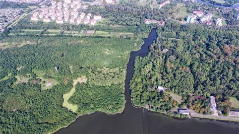 კოლხეთის დაბლობი